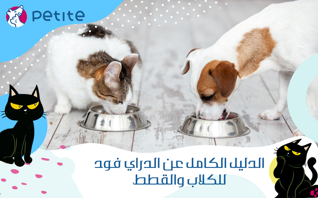 The complete guide to Dray Food for dogs and cats – Petite