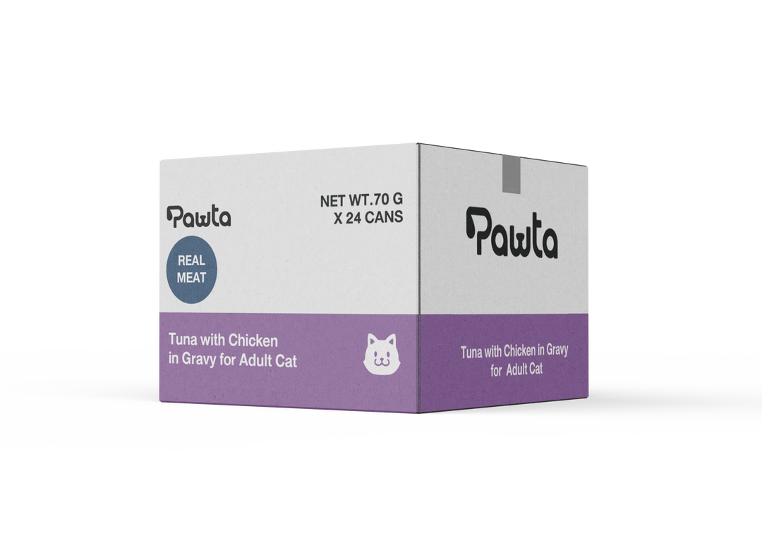 the best Cats Wet Food – Petite